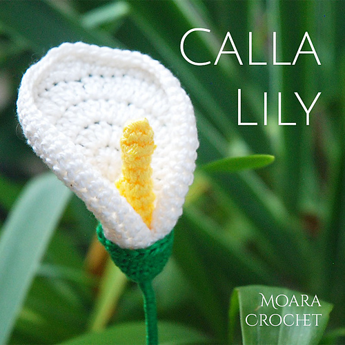 Ravelry: Calla Lily pattern by Roseanna Murray