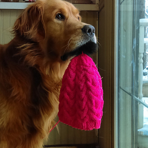 Ravelry: Trouvaille pattern by Sierra Morningstar