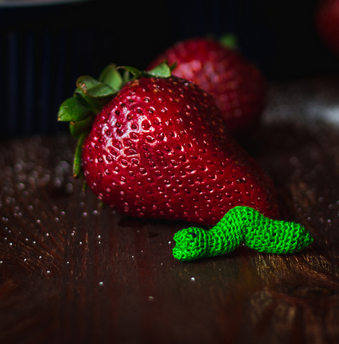 Ravelry: Slimey the Worm pattern by Claudia van K.