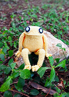 Ravelry: MrsGeorgeous' Jake the frog 34