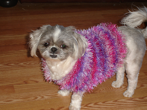 Ravelry: Dog Fur Coat pattern by Lion Brand Yarn