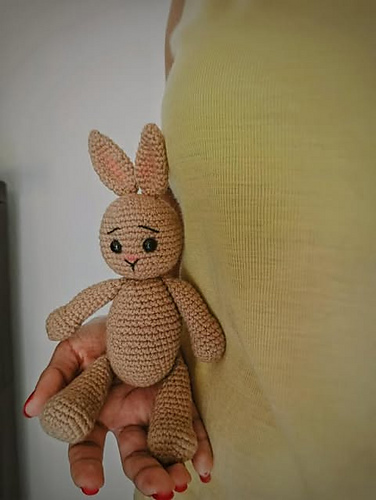 Ravelry: Peter Rabbit Amigurumi pattern by Ruddy Rodríguez