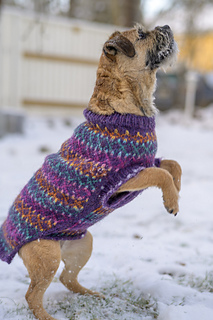 Ravelry: Beeda Dog Sweater pattern by Hanna-Mari Puuska