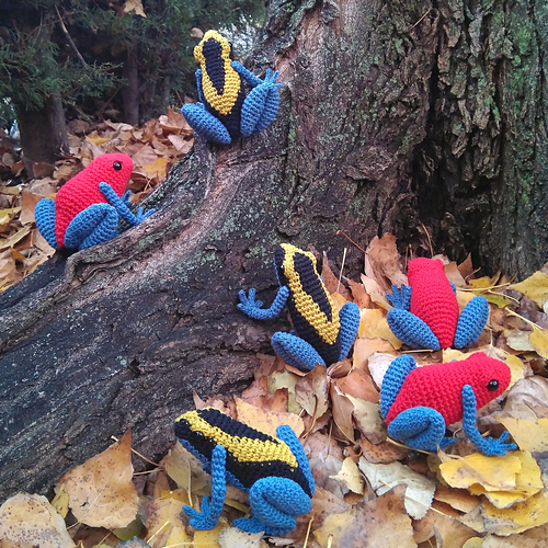 Ravelry: Realistic Dart Frog pattern by Paula González Mayo