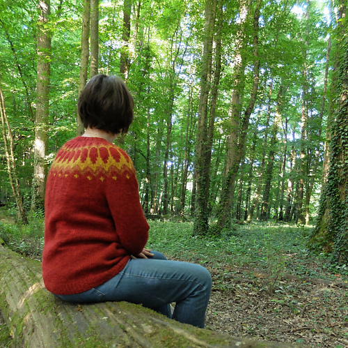 Ravelry: Hekla lopapeysa pattern by NJAXASS