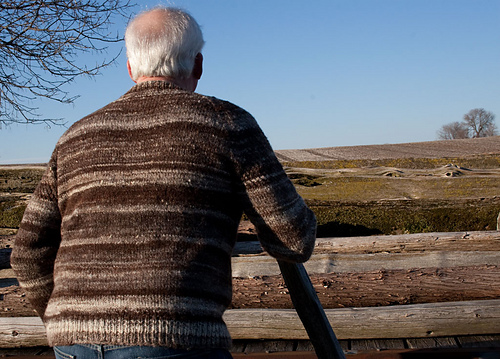 Ravelry: NancyMunroe's Jacob The Sweater my Guys Like