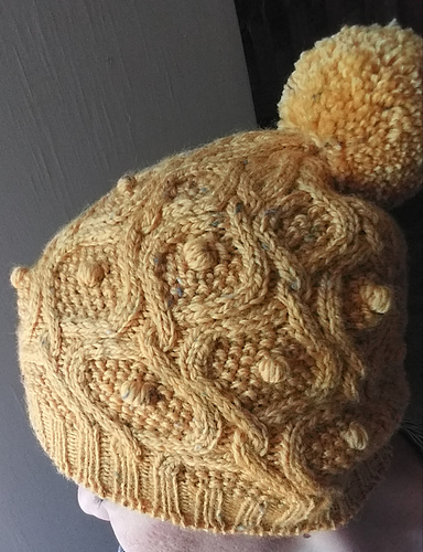 Ravelry: Wild Honey Hat pattern by BurraKnits
