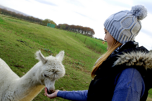 Ravelry: Pipe Dreams pattern by Natalie Jubb