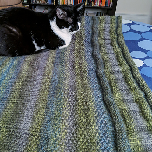 Ravelry: Meander Border Throw Blanket pattern by Nebula Ersatz
