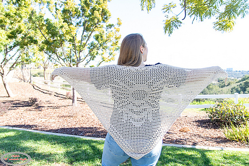 Ravelry: Bee Filet Crochet Shawl pattern by Nicole Riley