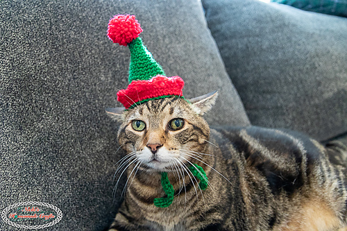 Ravelry: Cat's Elf Hat pattern by Nicole Riley
