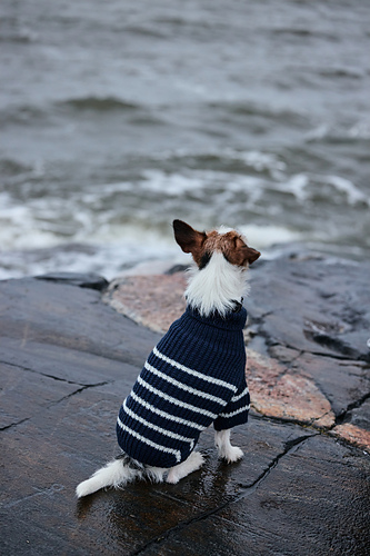 Ravelry: Skipper dog pattern by Novita Design Studio