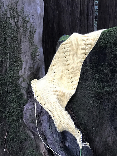 Ravelry: Knitshades (deadly ?) boomerang pattern by Susan Ashcroft