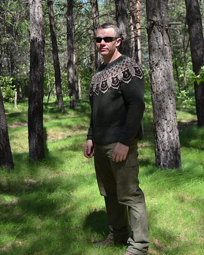 Ravelry: Bear yoke sweater adult pattern by Yana Markevich