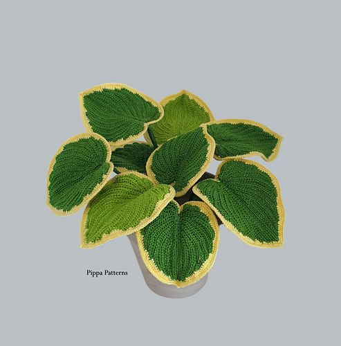 Ravelry: Hosta pattern by Connie Rockliff