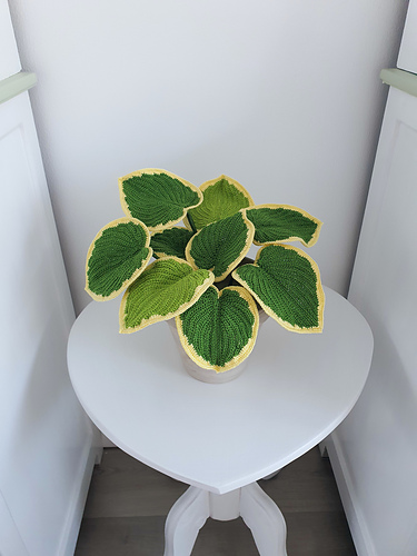 Ravelry: Hosta pattern by Connie Rockliff