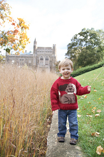 Ravelry: P577 Dog & Bone Sweater pattern by Plymouth Yarn Design Studio