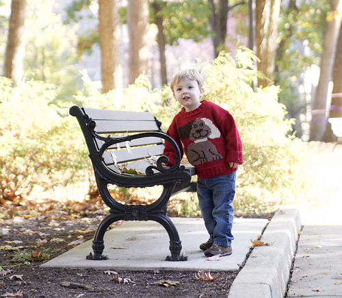 Ravelry: P577 Dog & Bone Sweater pattern by Plymouth Yarn Design Studio