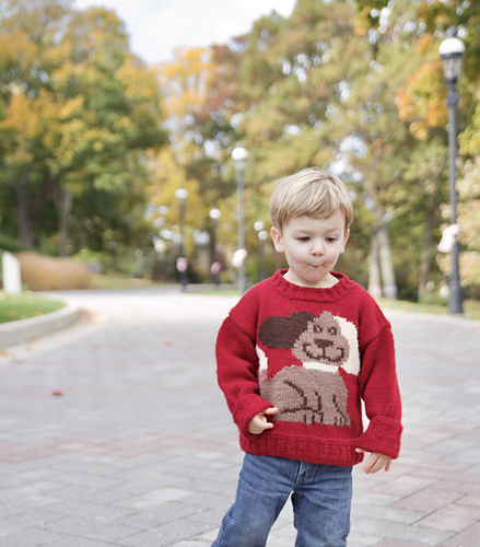 Ravelry: P577 Dog & Bone Sweater pattern by Plymouth Yarn Design Studio