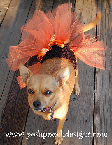 Ravelry: Doggie Tutu pattern by Sara Sach