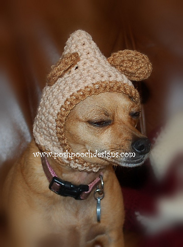 Ravelry: Dog Hood with 4 ear styles pattern by Sara Sach