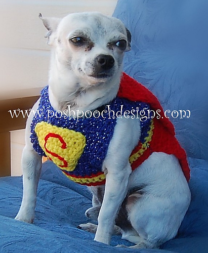 Ravelry: Super Man Super boy Dog Sweater pattern by Sara Sach