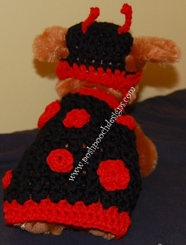Ravelry: Lady bug - Dog Sweater and Hat Set pattern by Sara Sach