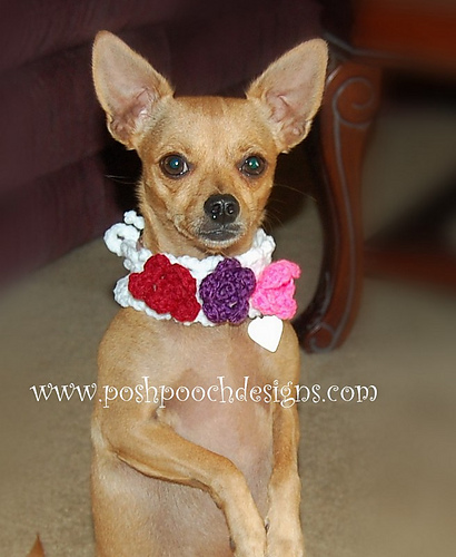 Ravelry: Dog Collar "Flowers and Lace" pattern by Sara Sach