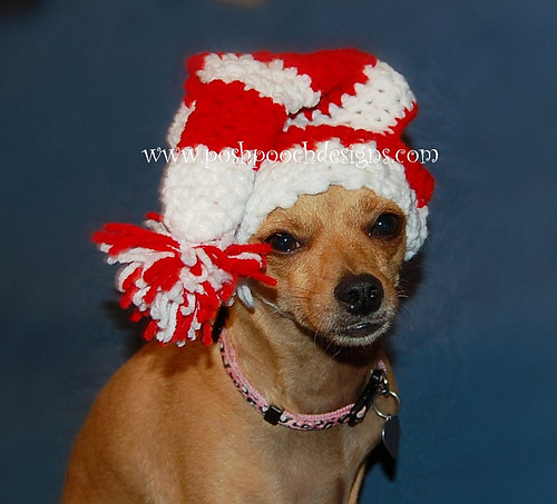 Ravelry: Stocking Hat for Dogs with Elf Ears pattern by Sara Sach