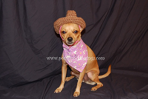 Ravelry: Dog Cowboy Hat pattern by Sara Sach