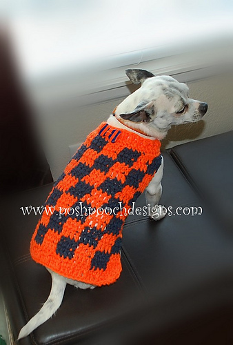 Ravelry: Checkered Dog Sweater pattern by Sara Sach