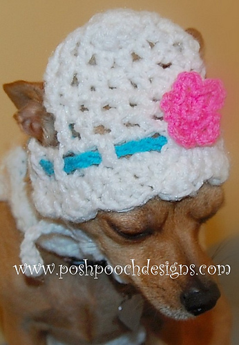 Ravelry: Spring Dog Hats - 2 Styles pattern by Sara Sach