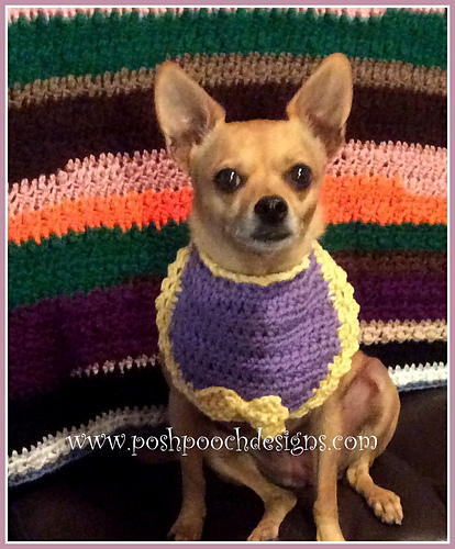 Ravelry: Lacy Trim Dog Bib pattern by Sara Sach