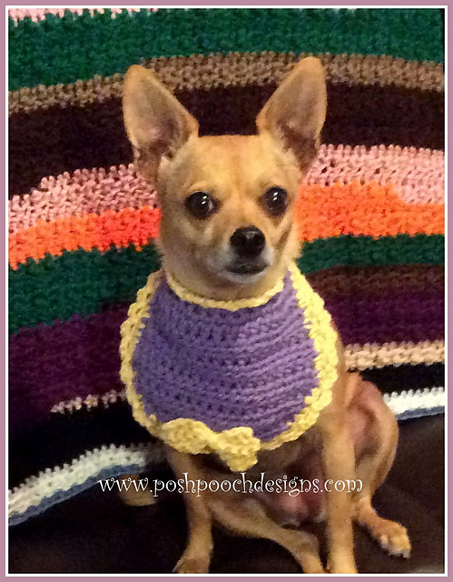 Ravelry: Lacy Trim Dog Bib pattern by Sara Sach