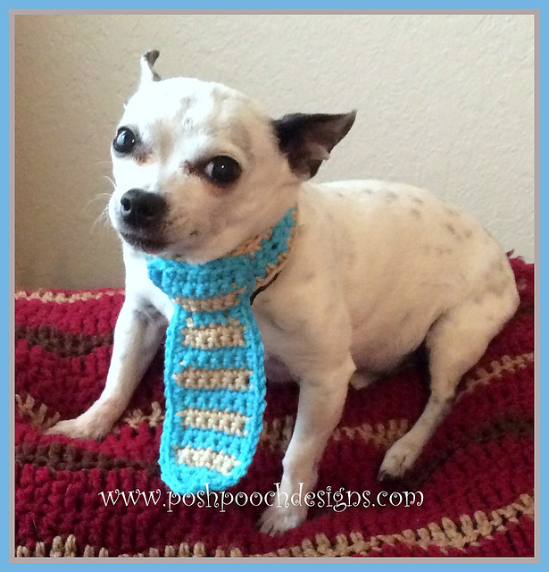 Ravelry: Dog Neck Tie Dog Collar pattern by Sara Sach