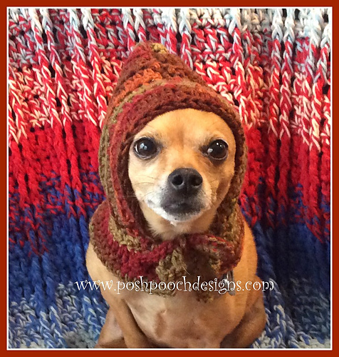 Ravelry: Hooded Dog Cape pattern by Sara Sach