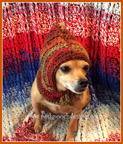 Ravelry: Hooded Dog Cape pattern by Sara Sach