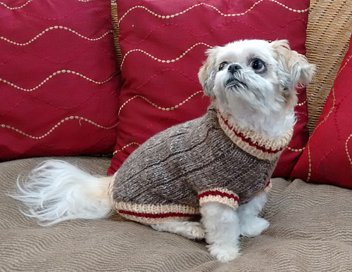 Ravelry: Sock Monkey Dog Sweater pattern by Ronnie Eldridge