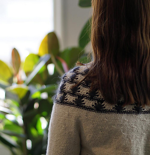 Ravelry: Waterlily Cardigan pattern by Sus Gepard