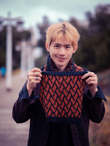 Ravelry: Elwood pattern by Rastus Hsu