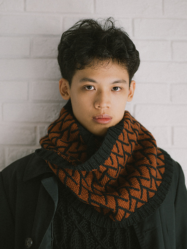 Ravelry: Elwood pattern by Rastus Hsu