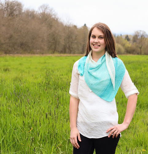 Ravelry: Color Me pattern by Bekah Knits