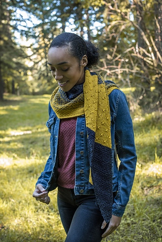 Ravelry: Meadowlark Shawl pattern by Emily Devlin