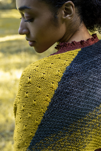 Ravelry: Meadowlark Shawl pattern by Emily Devlin