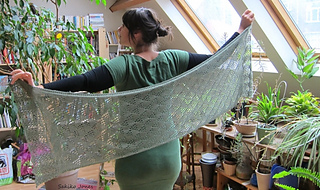 Ravelry: SakikoJones' Green shepherd's stole