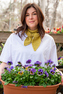 Ravelry: Half Pint Scarf pattern by Samantha Guerin