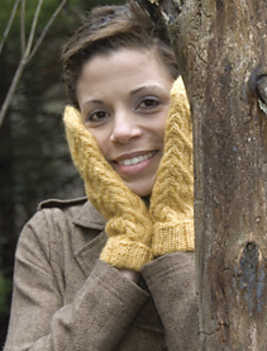 Ravelry: Thicket pattern by Susan Mills Knits