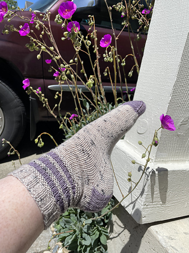 Ravelry: Beluga Socks pattern by Kari Pedersen