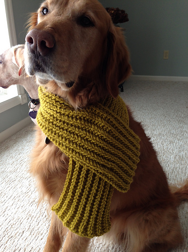 Ravelry: Uneven Rib Scarf pattern by Sheree Estes