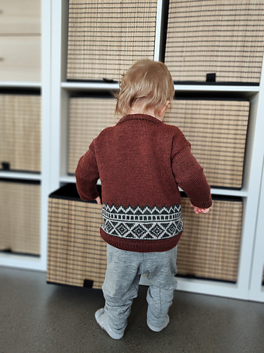 Ravelry: Little Red Panda Sweater pattern by Asita Krebs